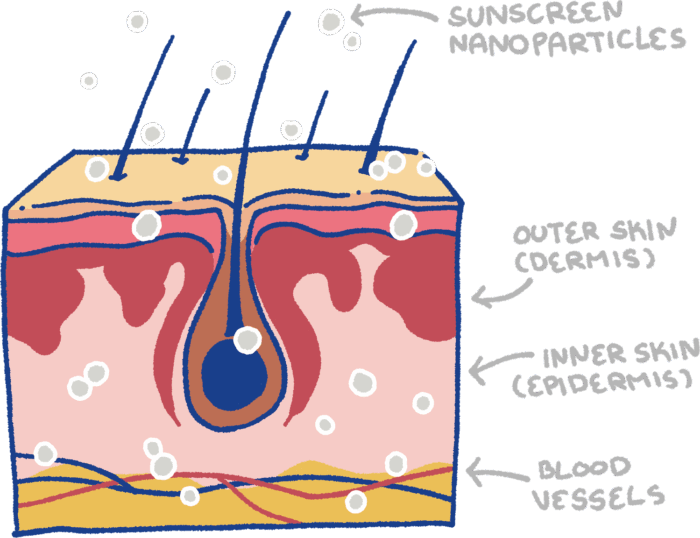 The Science of Magwai Sunscreen
